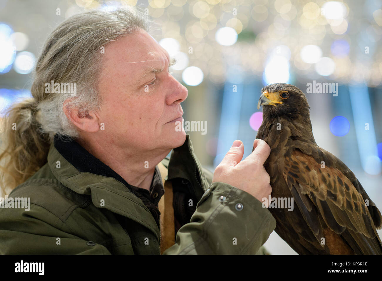 Munich, Germany. 13th Dec, 2017. Harris' hawk Hillary sits on the arm ...