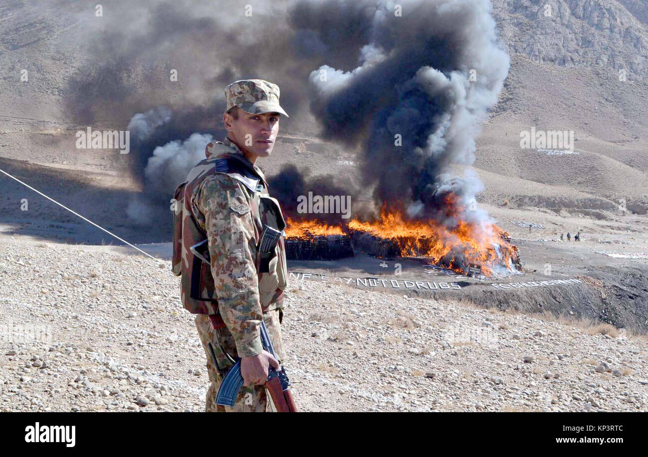 View of burning pile of confiscated drugs during the incineration ...
