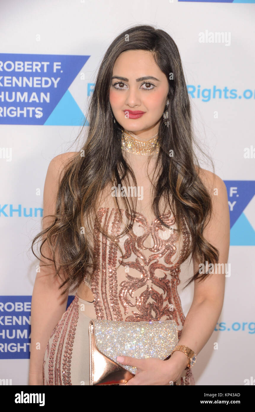 New York, NY, USA. 13th Dec, 2017. Mahra Lutfi attends the 2017 Robert ...