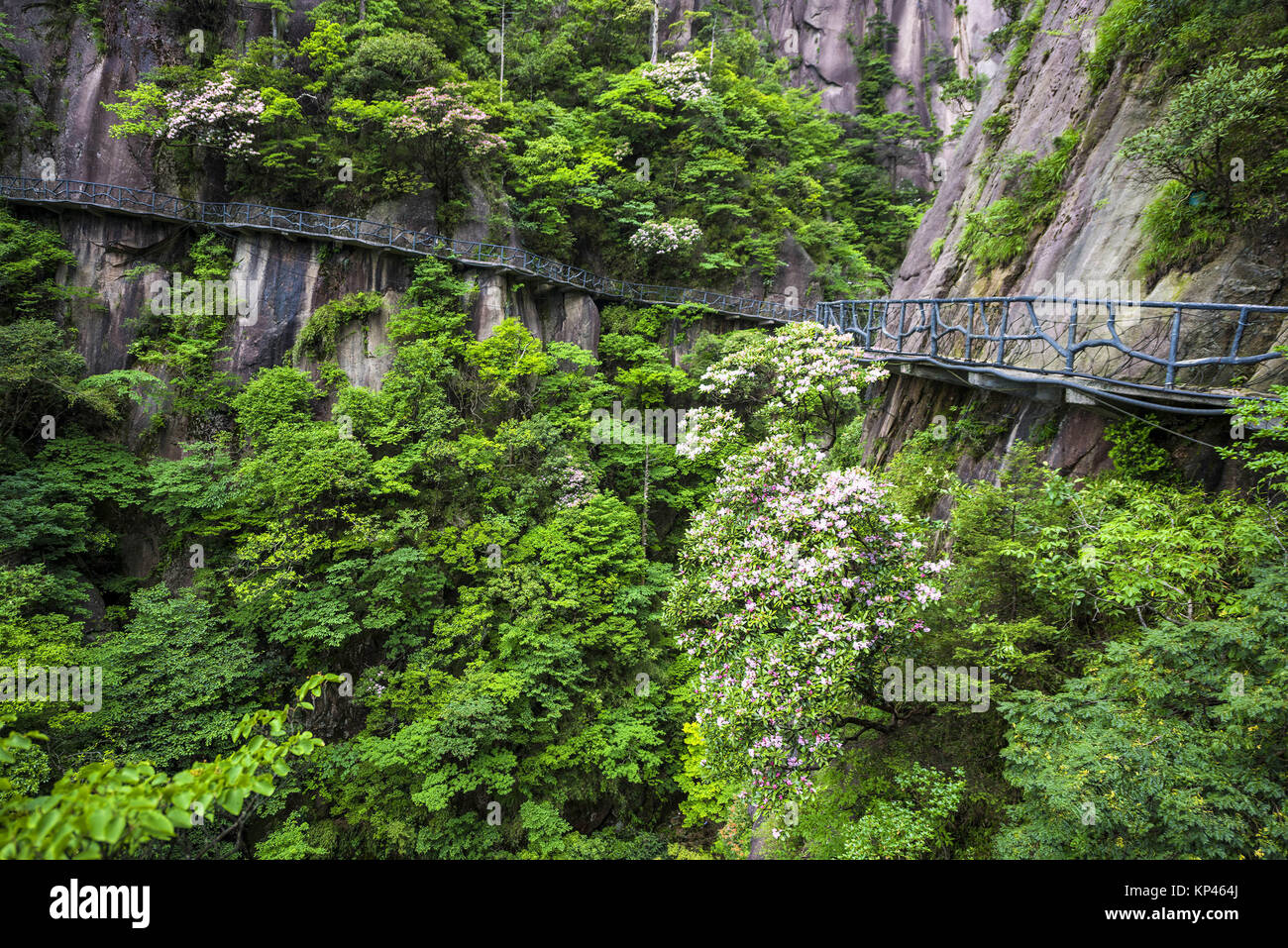 Shangrao, Shangrao, China. 14th Dec, 2017. Shangrao, CHINA-14th ...