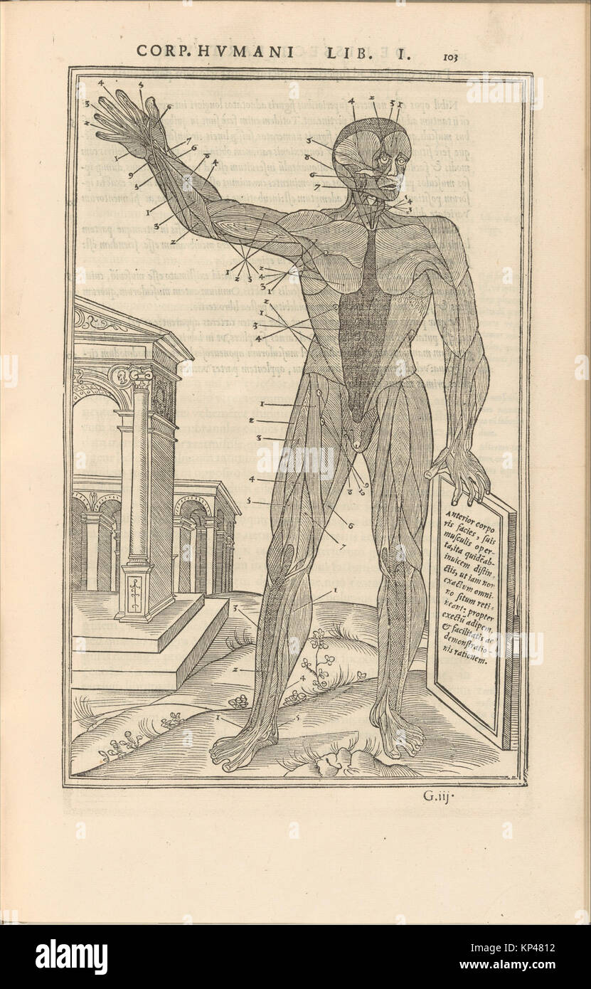 Partium hi-res stock photography and images - Alamy