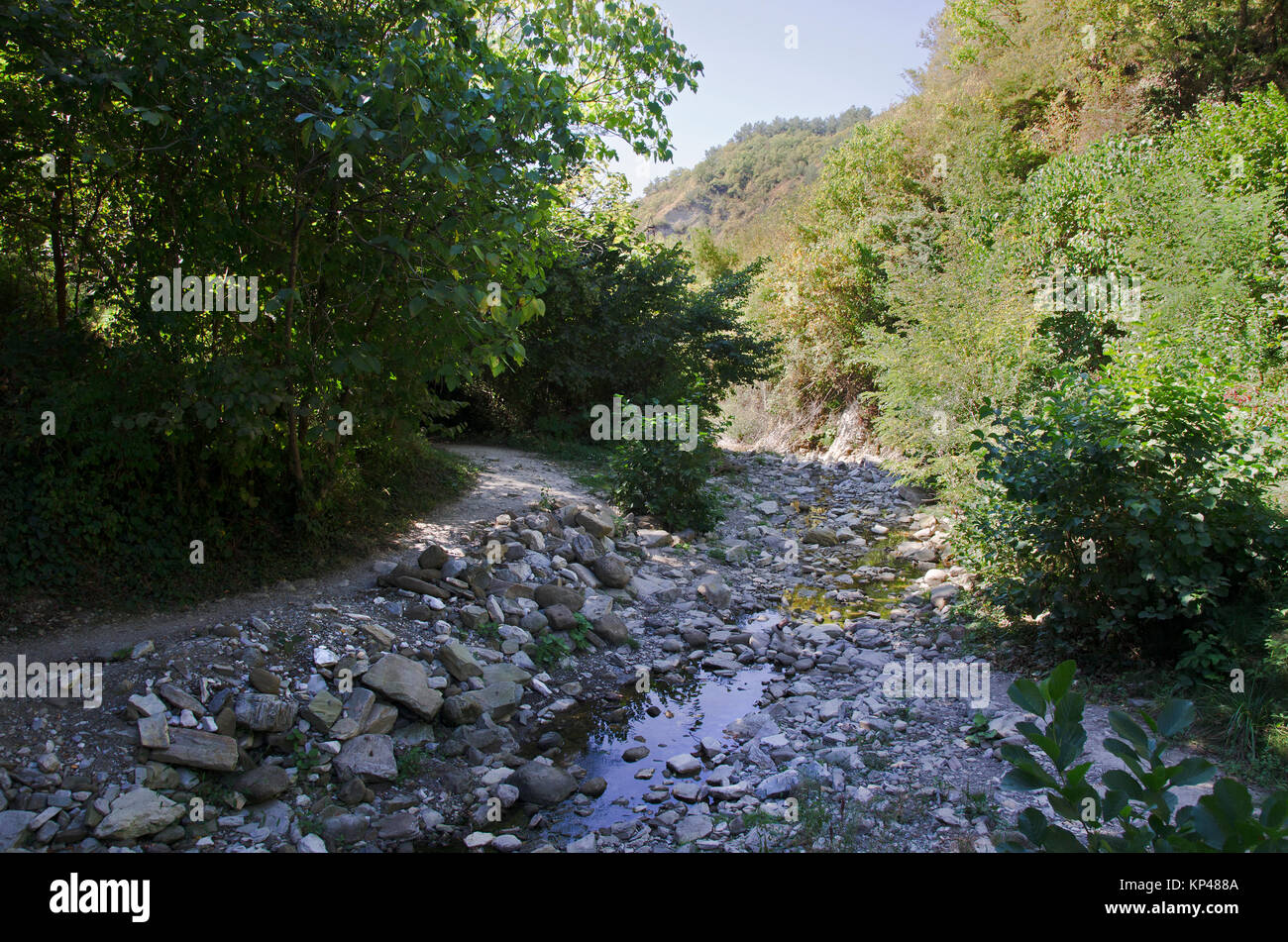 Mamed gorge with a bed of dried up river, surrounded by greenery Stock ...