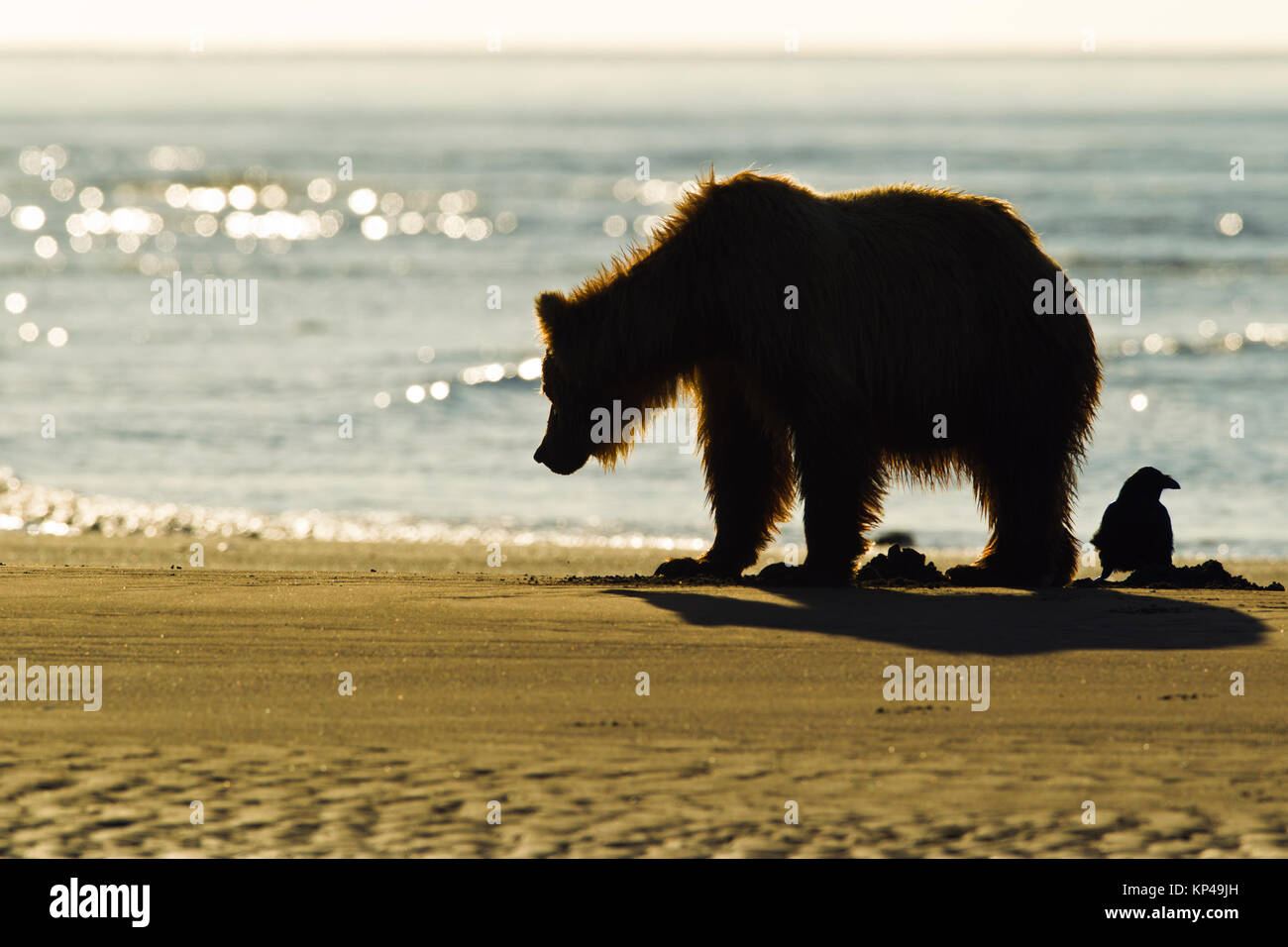 Distorted face reflection hi-res stock photography and images - Alamy