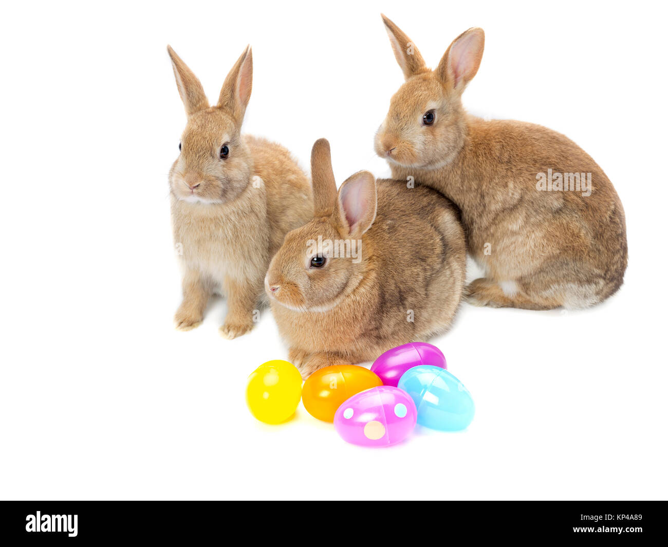 easter bunny and eggs Stock Photo - Alamy
