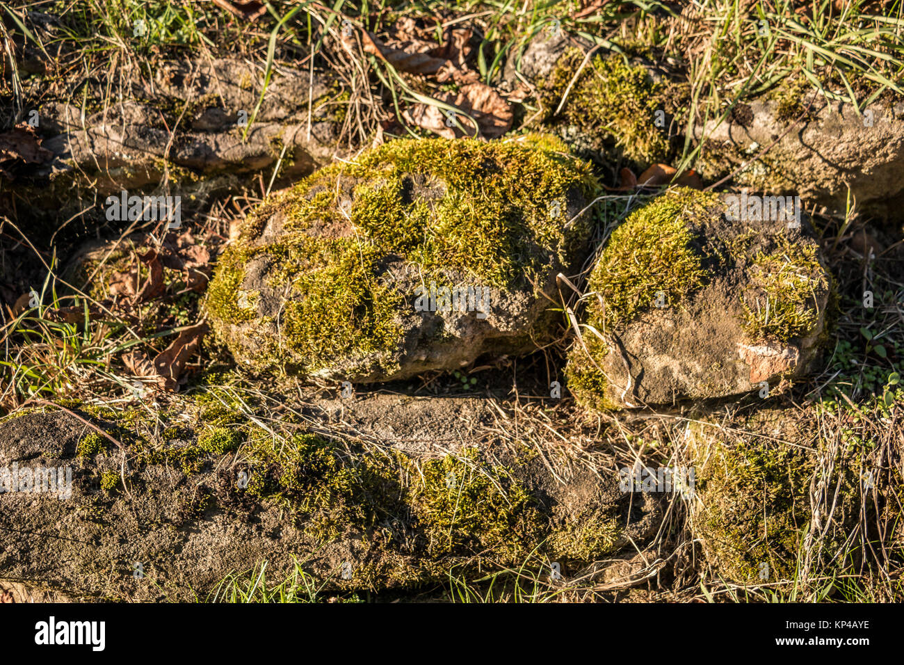 Mossy rocks on the ground in the garden Stock Photo - Alamy