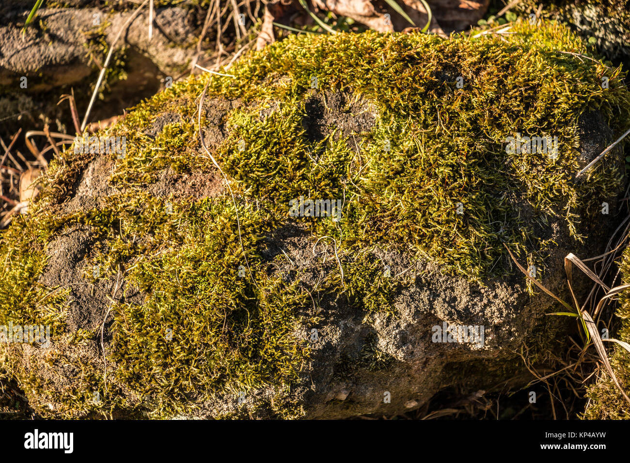 Rocks and grass hi-res stock photography and images - Alamy