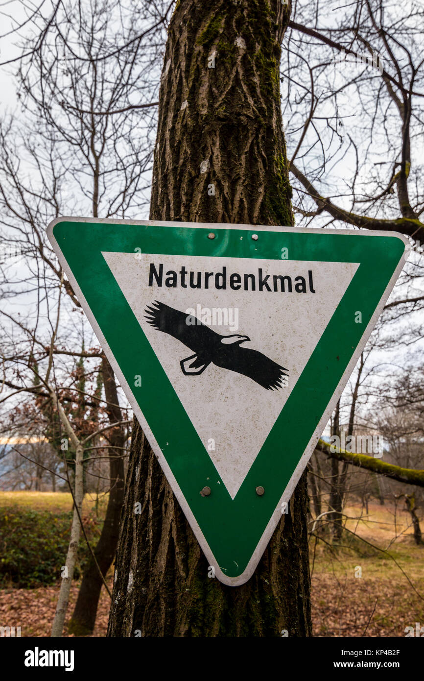 Environmental traffic sign in the middle of the forest Stock Photo - Alamy