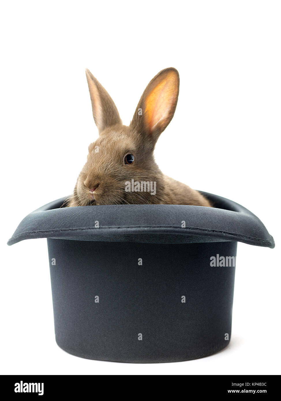 rabbit inside the hat Stock Photo - Alamy