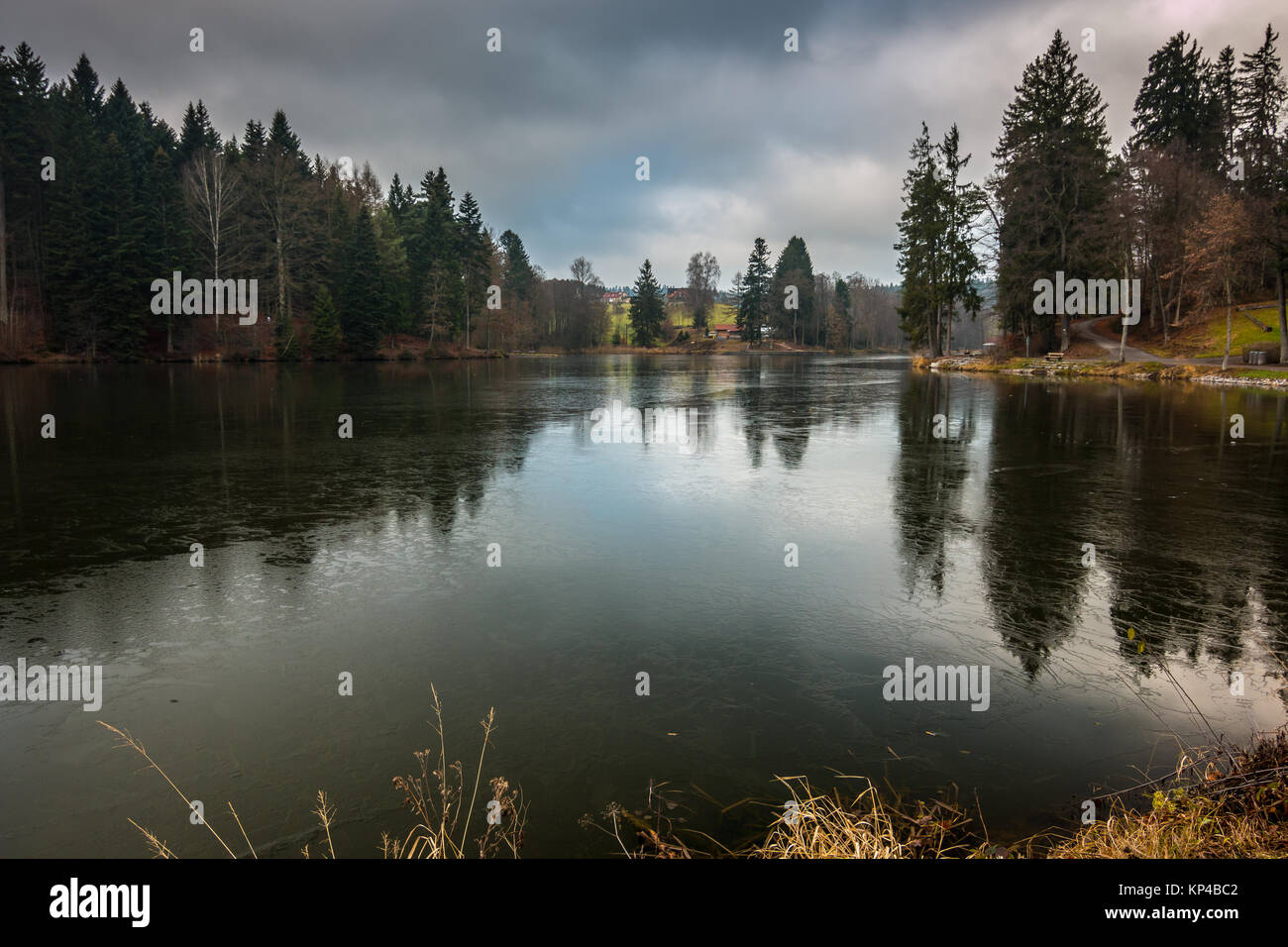 See dark trees hi-res stock photography and images - Alamy