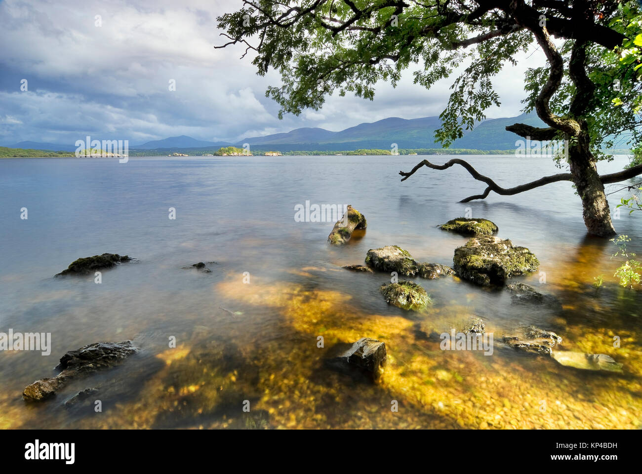 Lough Leane Lake view from Ross Island. Killarney National Park, County ...