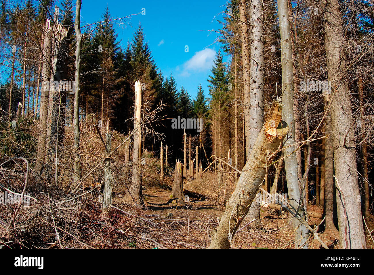 Dublin mountains ireland hi-res stock photography and images - Alamy
