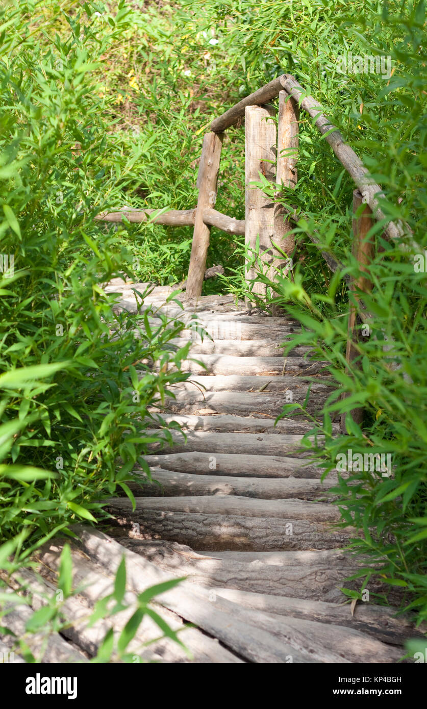 Wooden bridge stairs and plants Stock Photo - Alamy