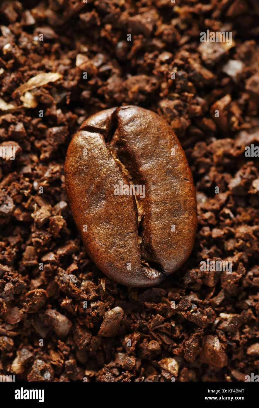 single coffee bean on a background of ground coffee Stock Photo - Alamy