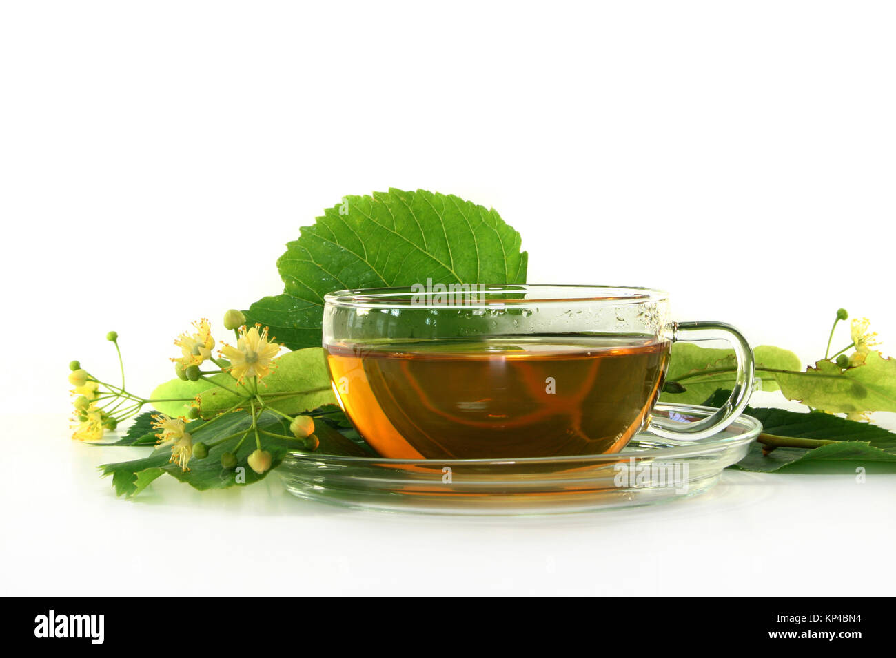 Lime blossom tea hi-res stock photography and images - Alamy