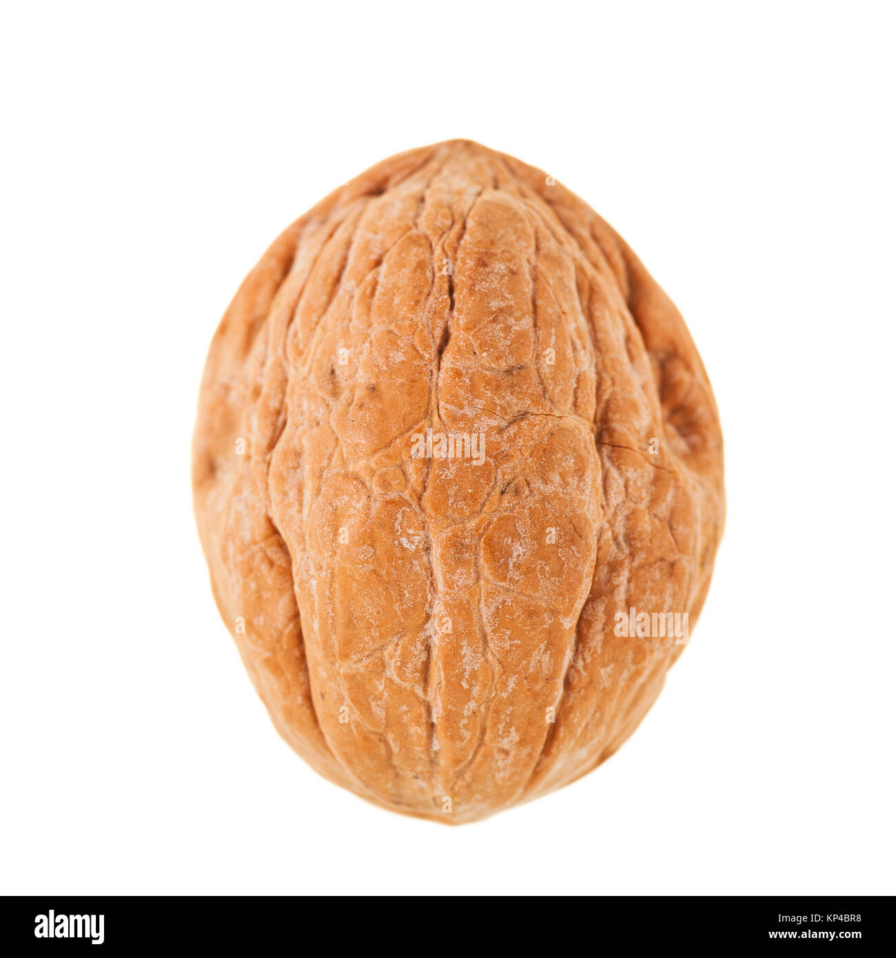 Whole walnut isolated on white background Stock Photo - Alamy