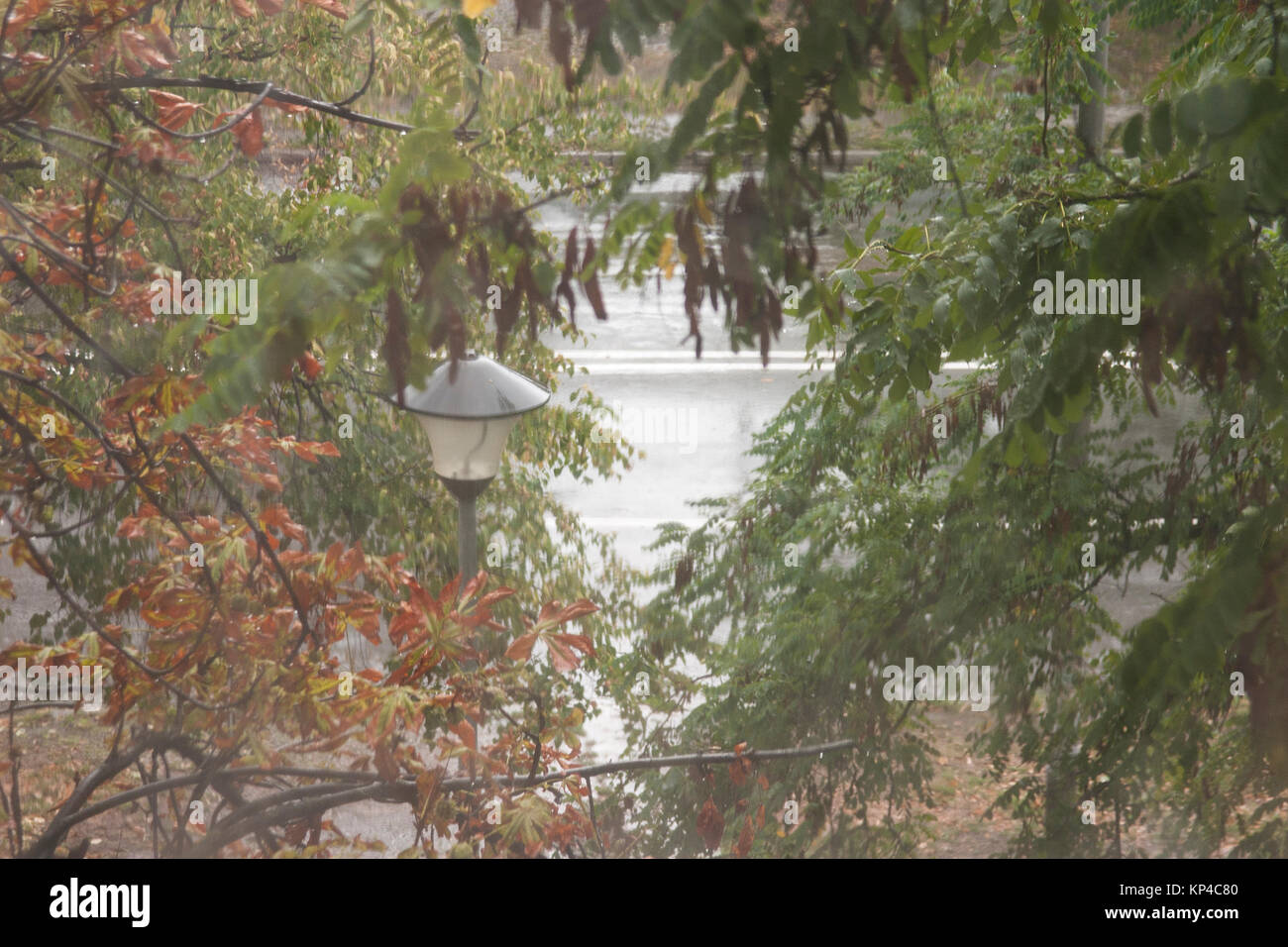 Window view on garden hi-res stock photography and images - Alamy