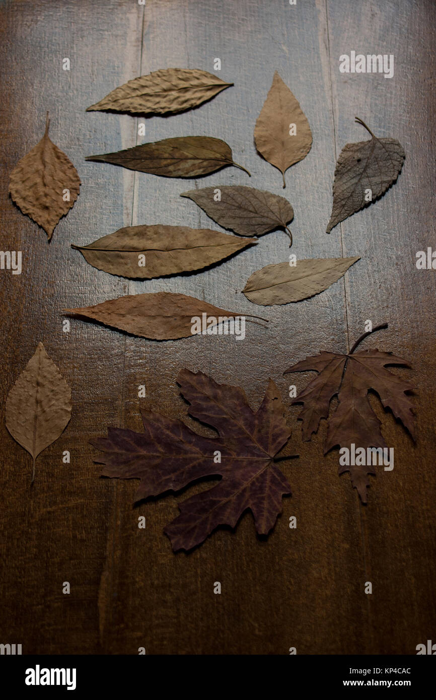 Dry leaves on the table Stock Photo - Alamy