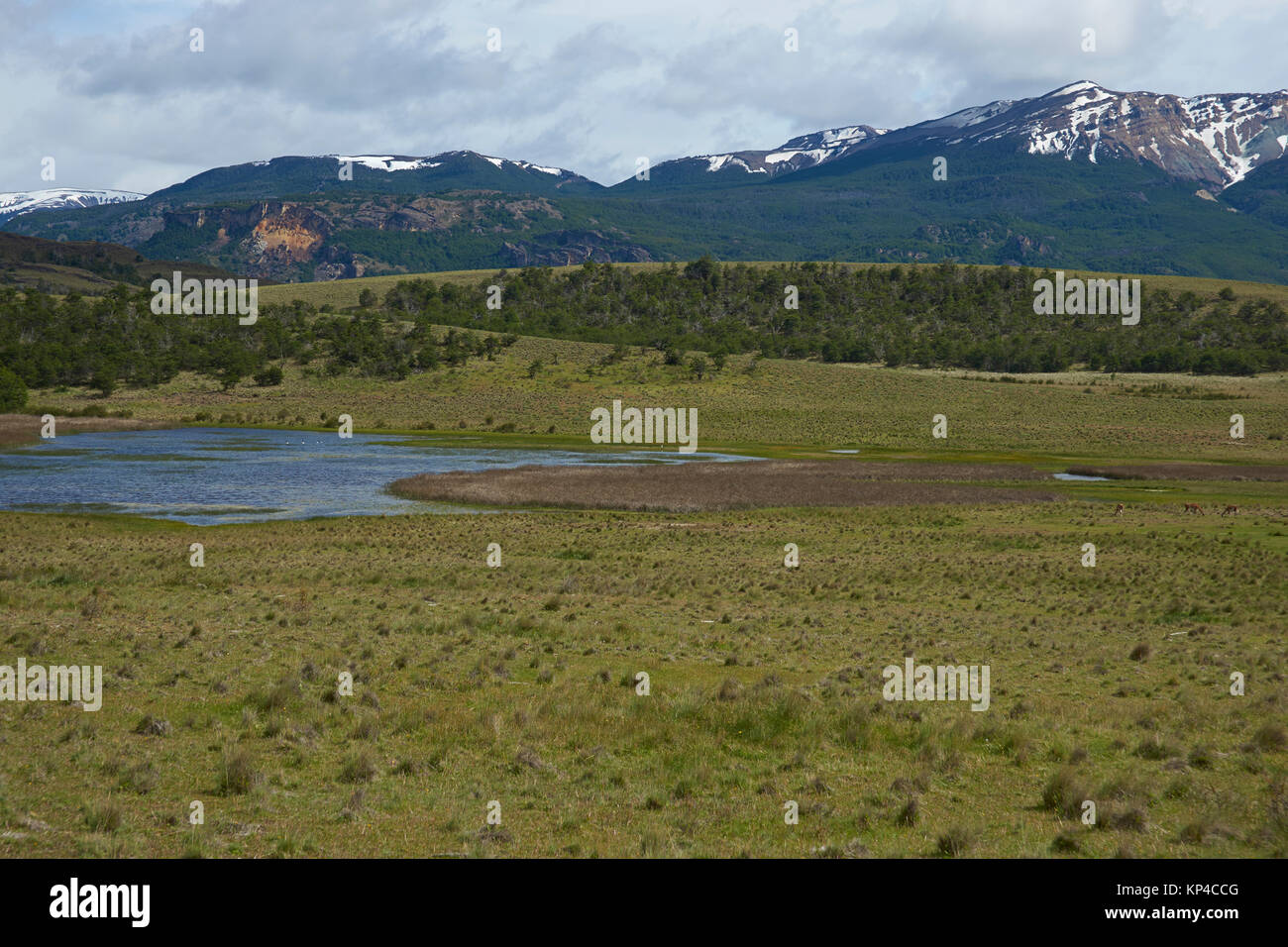 Patagonia national park chacabuco hi-res stock photography and images ...