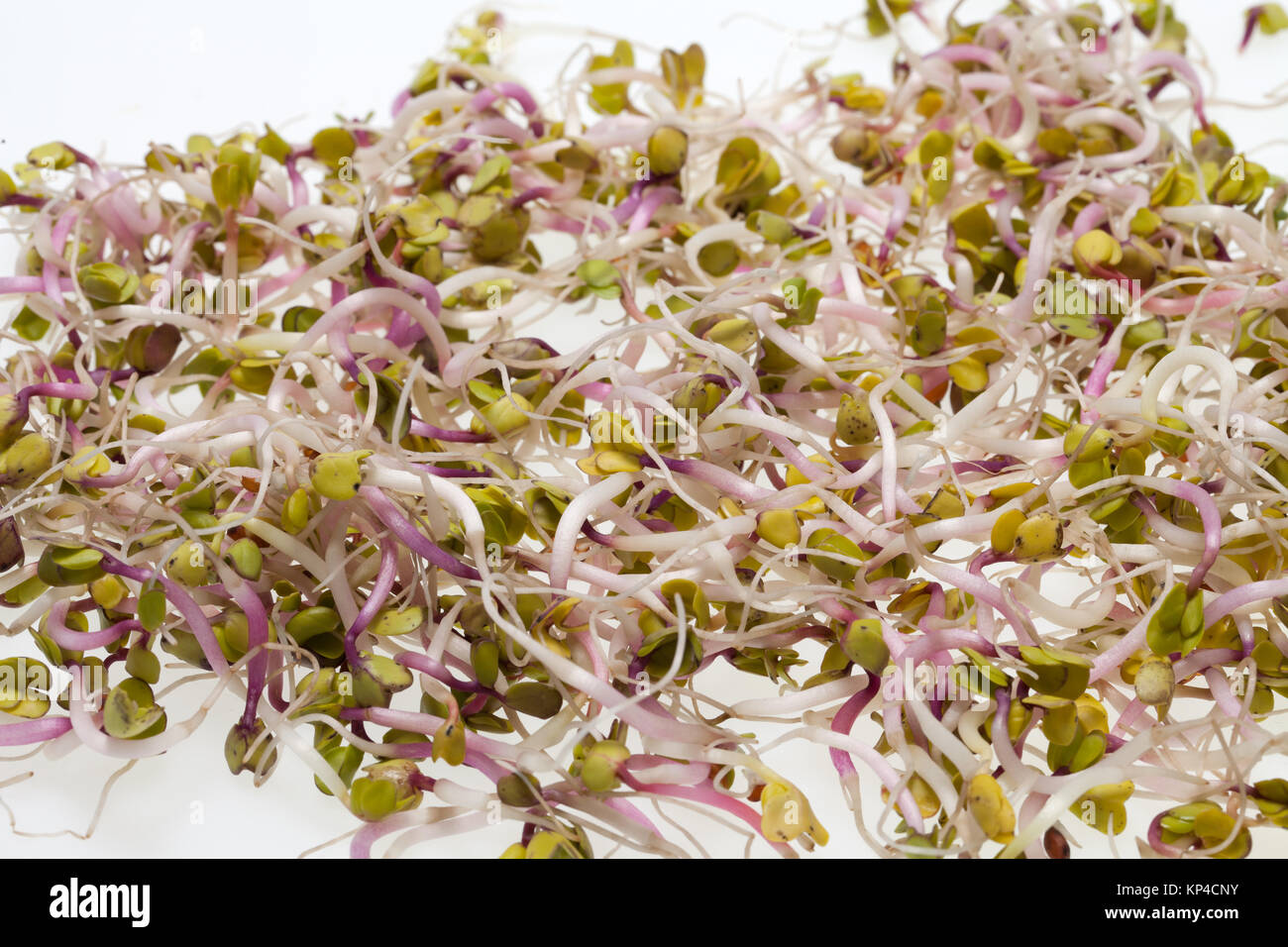 The healthy diet. Fresh sprouts isolated on white background Stock ...