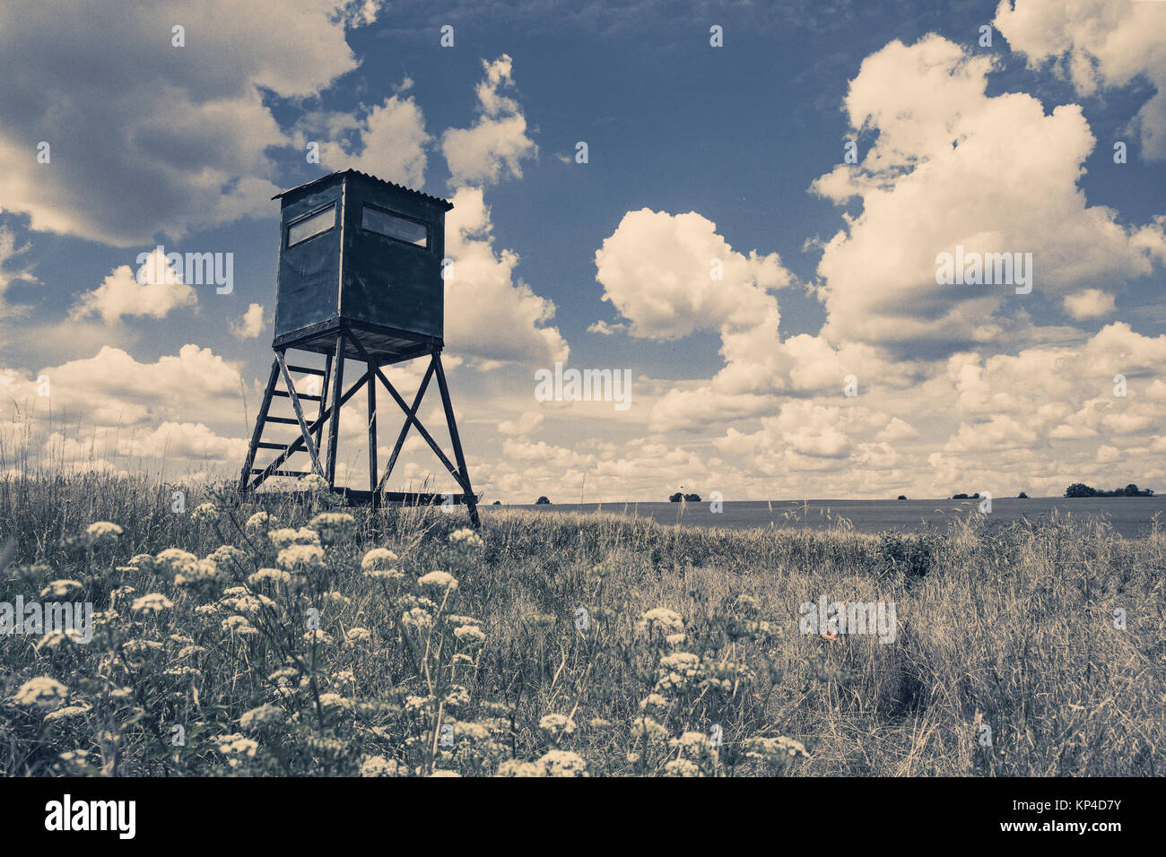 Animal watching tower on field. Sky with clouds. Blue colored Stock ...