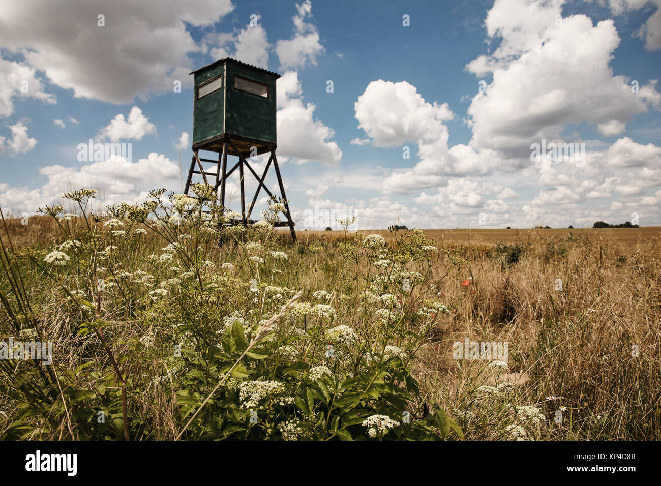 Animal watching tower on field. Sky with clouds Stock Photo - Alamy