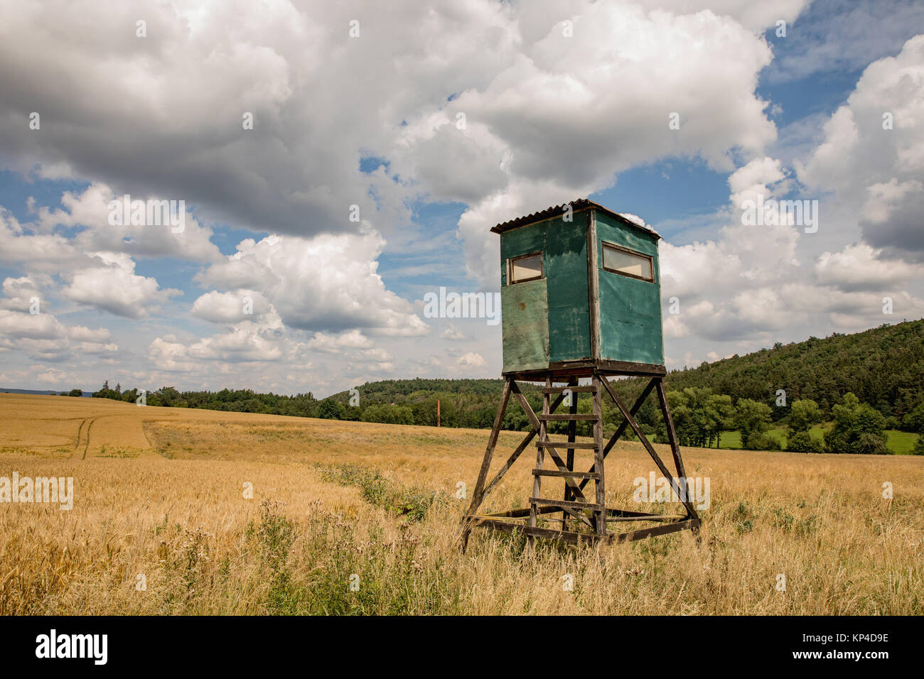 Animal watching tower on field. Sky with clouds Stock Photo - Alamy