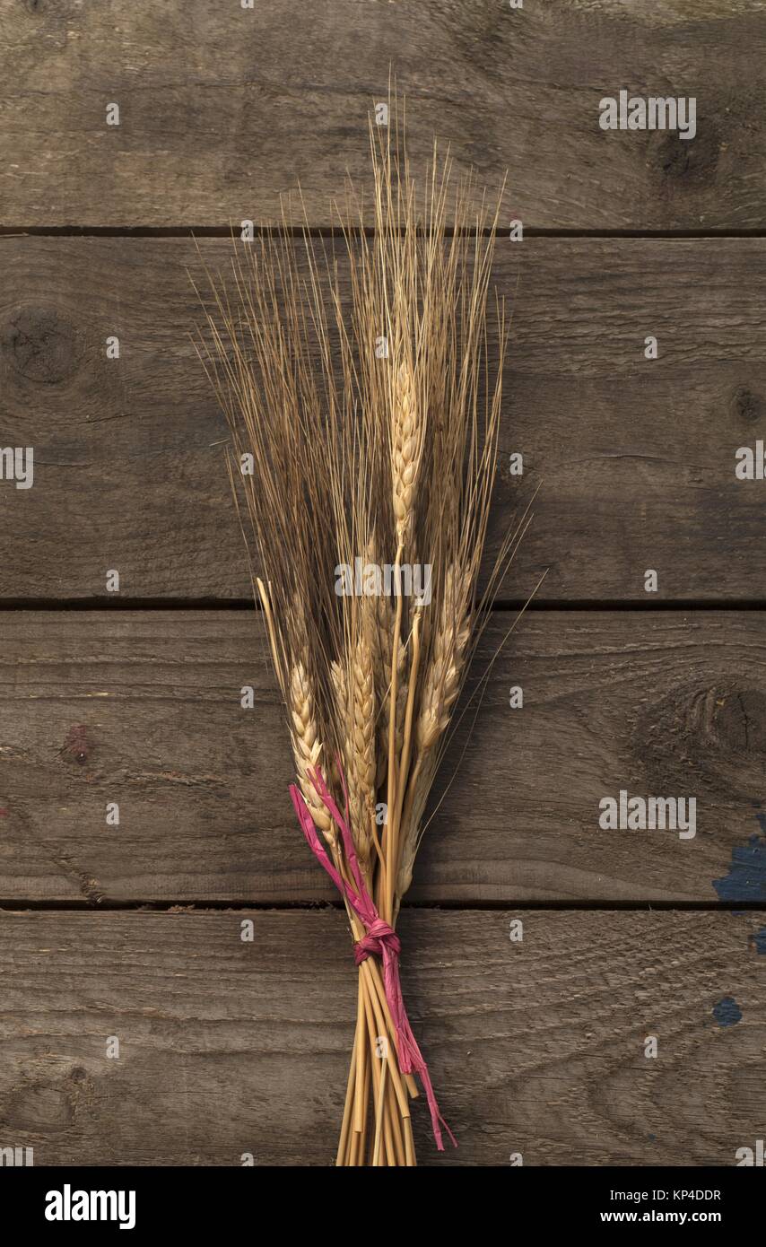 bundle of wheat Stock Photo - Alamy