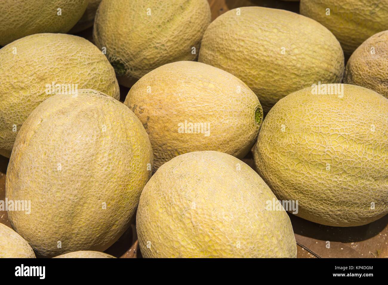 Real melon hi-res stock photography and images - Alamy