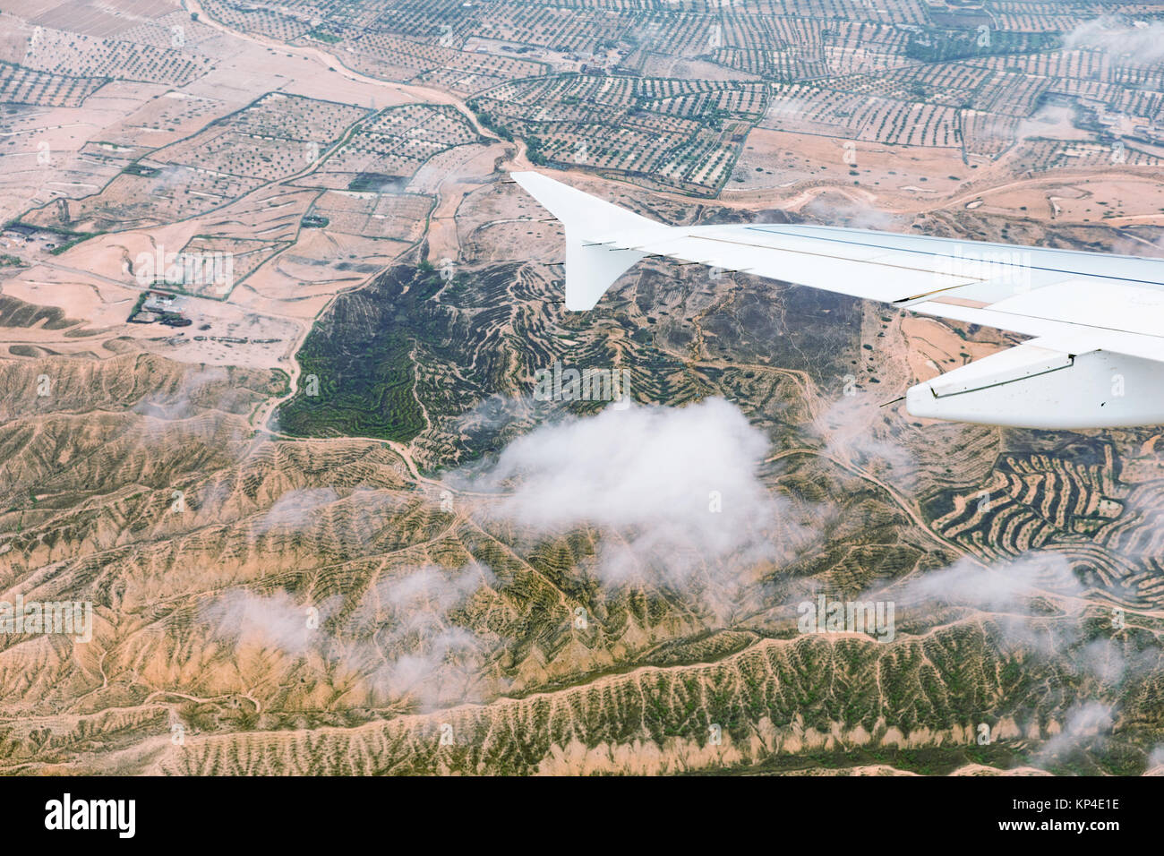 Aerial view of the landscape in Tunisia. Desert planted with trees ...