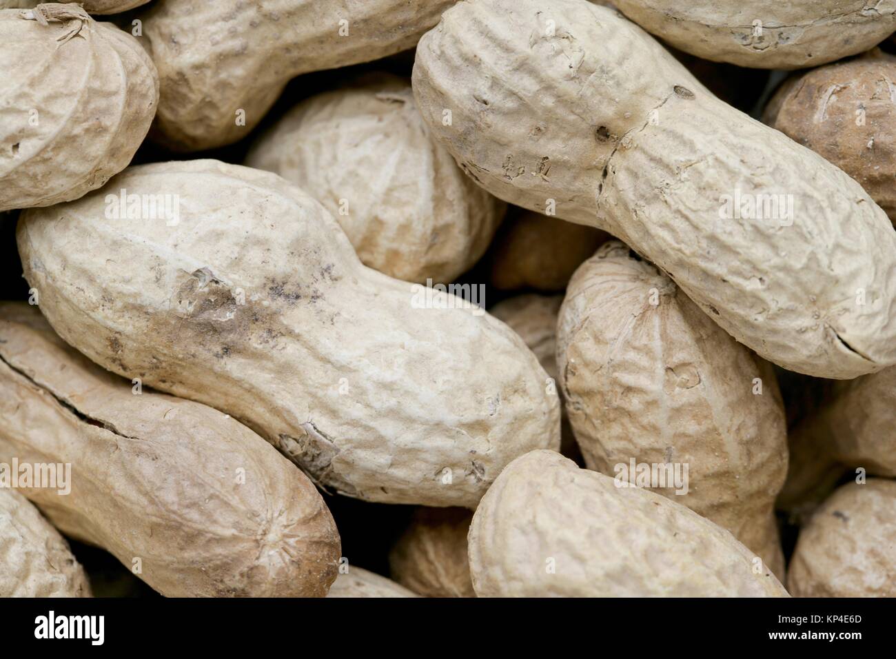 close up peanuts Stock Photo - Alamy