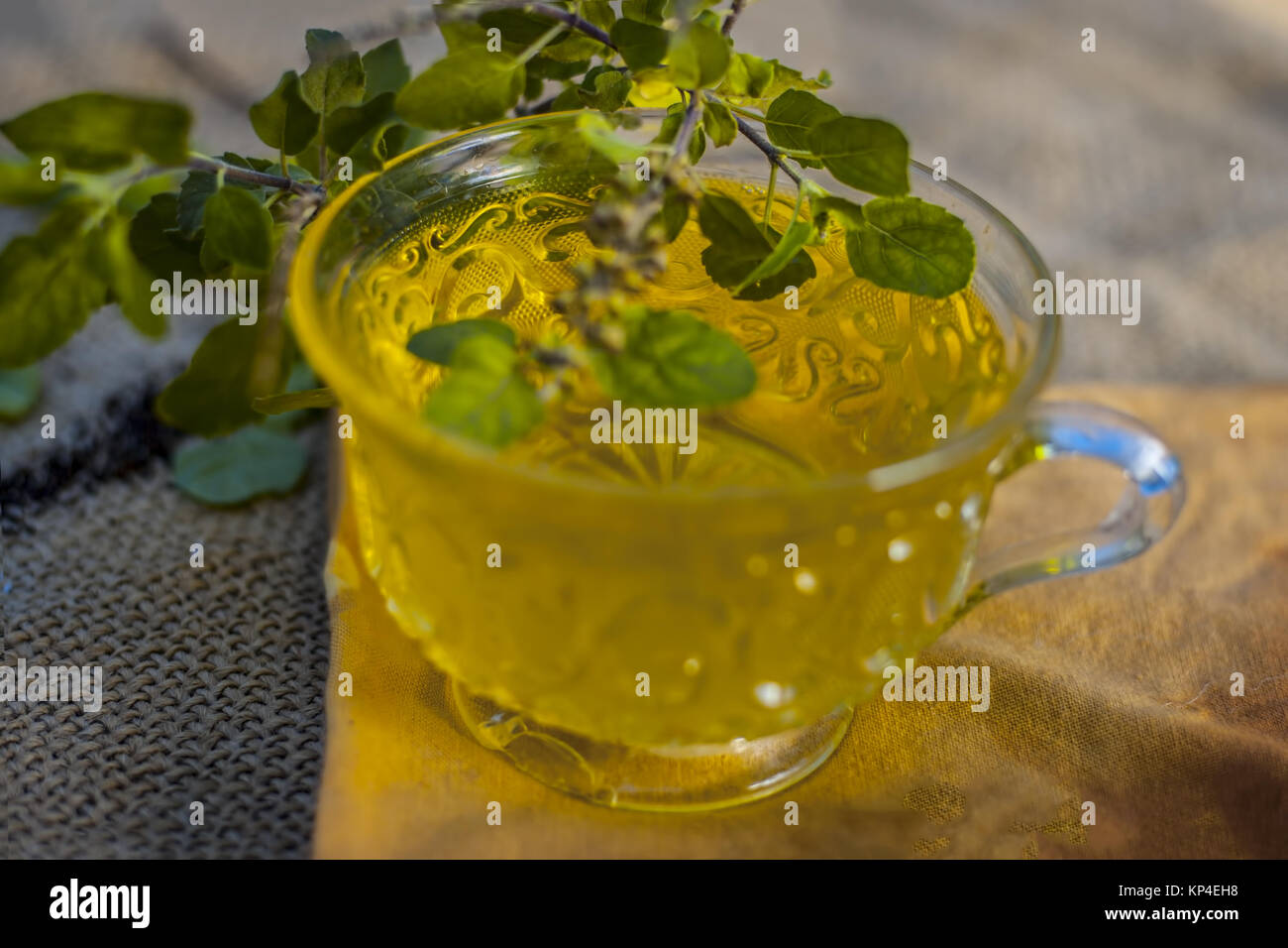 Tea of holy basil,tulsi,Ocimum tenuiflorum,in a transparent cup with ...