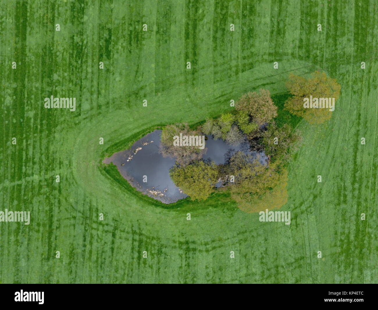 Aerial photograph of a pond in Cheshire, England Stock Photo - Alamy