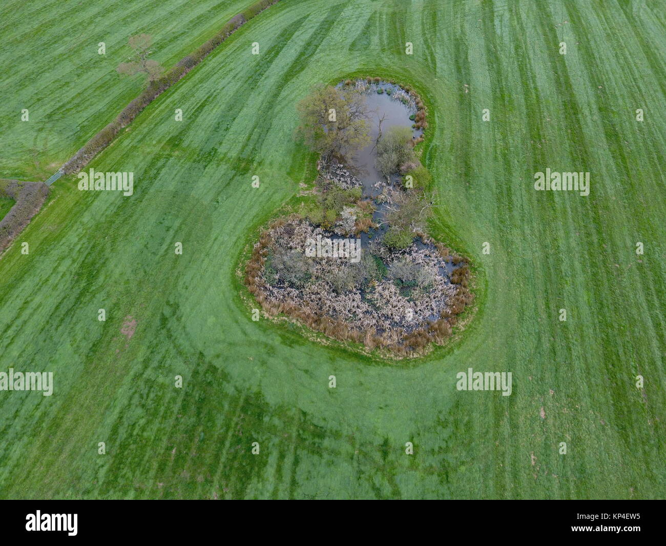 Aerial photograph of a pond in Cheshire, England Stock Photo - Alamy