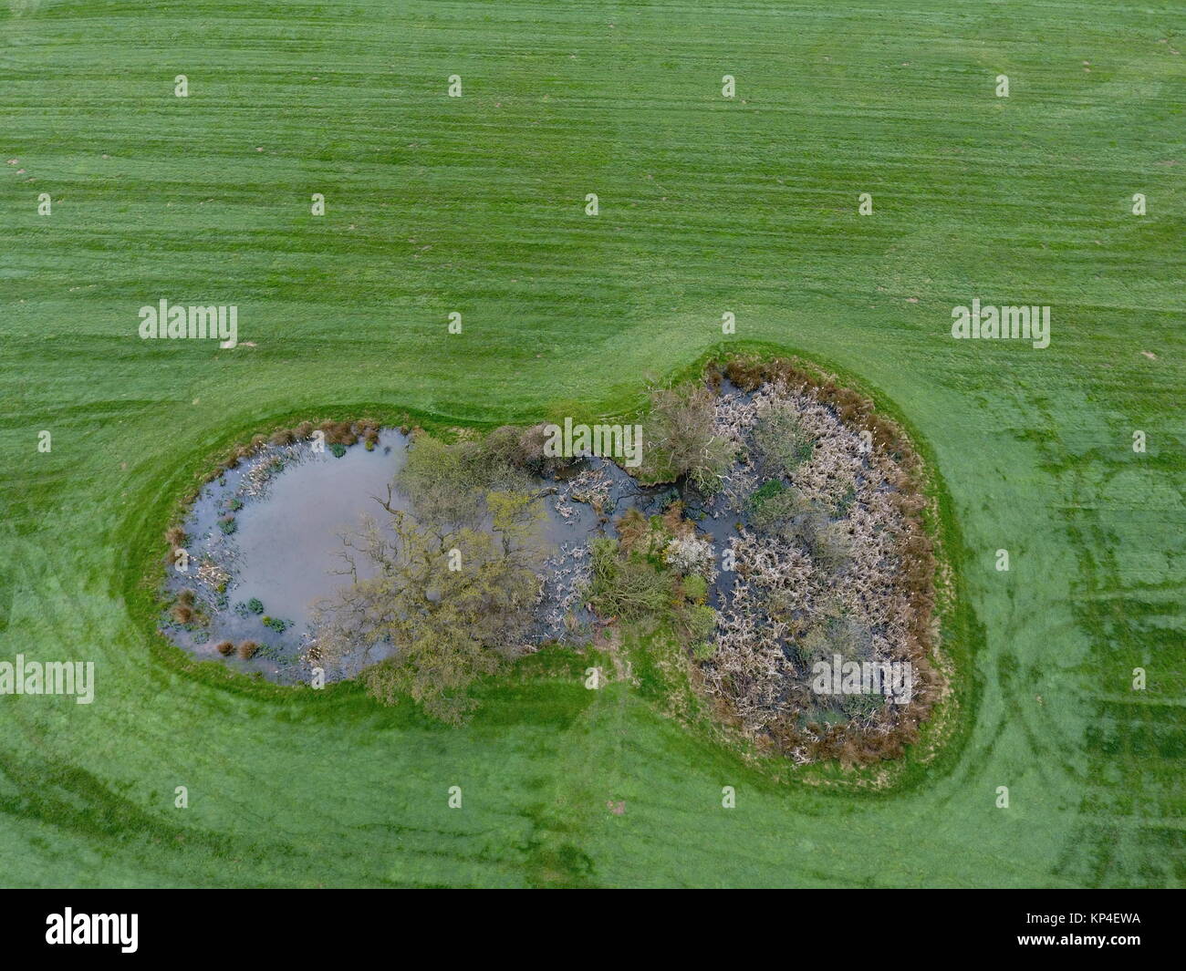 Aerial photograph of a pond in Cheshire, England Stock Photo - Alamy