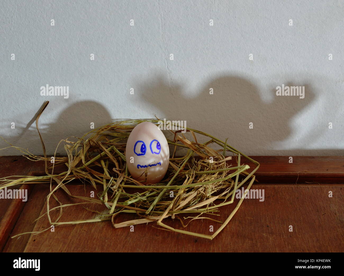 white egg on the nest and spooky shadow Stock Photo - Alamy