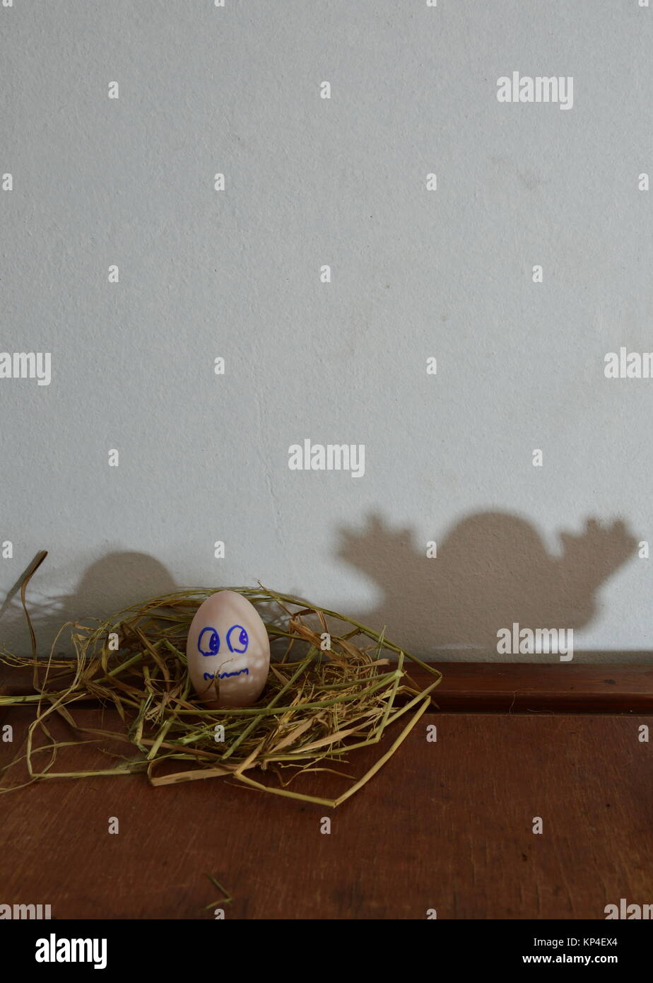 white egg on the nest and spooky shadow Stock Photo - Alamy