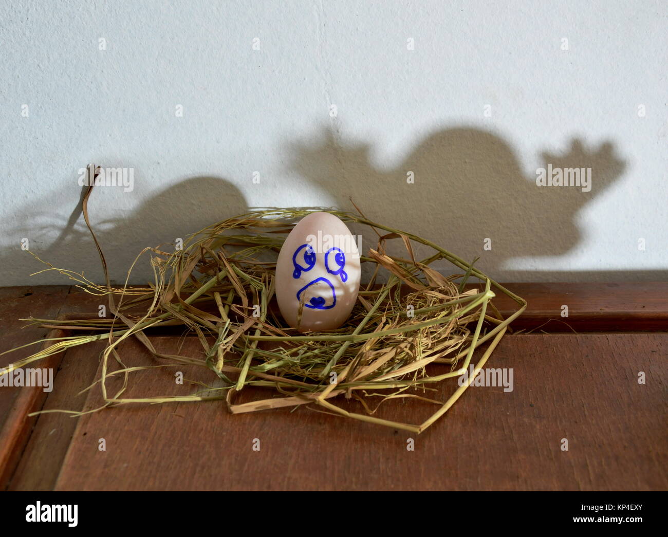 white egg on the nest and spooky shadow Stock Photo - Alamy