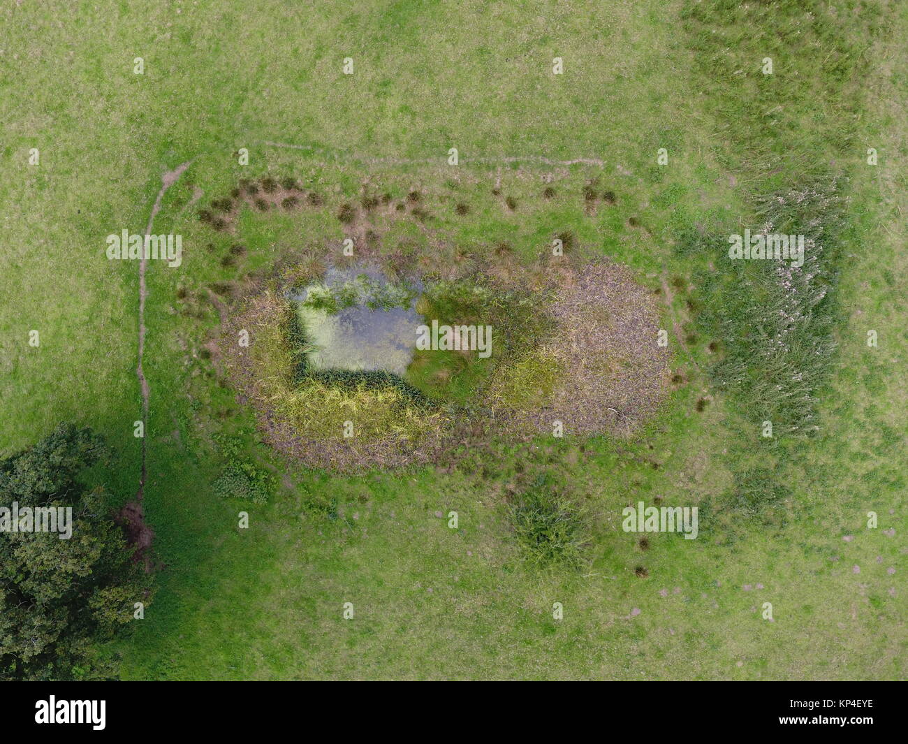 Flat field photograph hi-res stock photography and images - Alamy