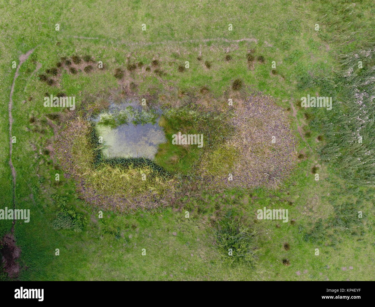 Aerial photograph of a pond in Cheshire, UK Stock Photo - Alamy