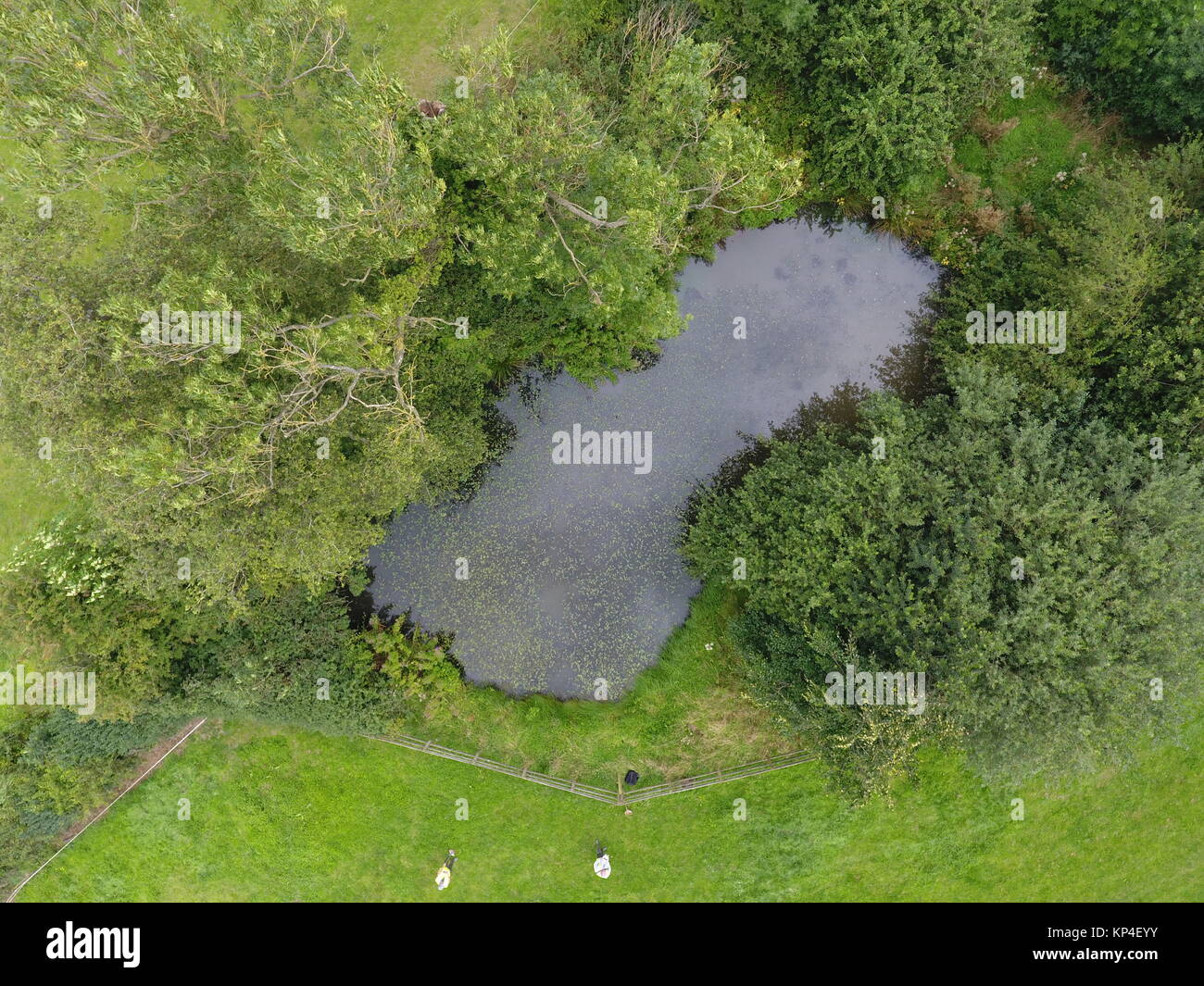 Aerial shot pond trees hi-res stock photography and images - Alamy