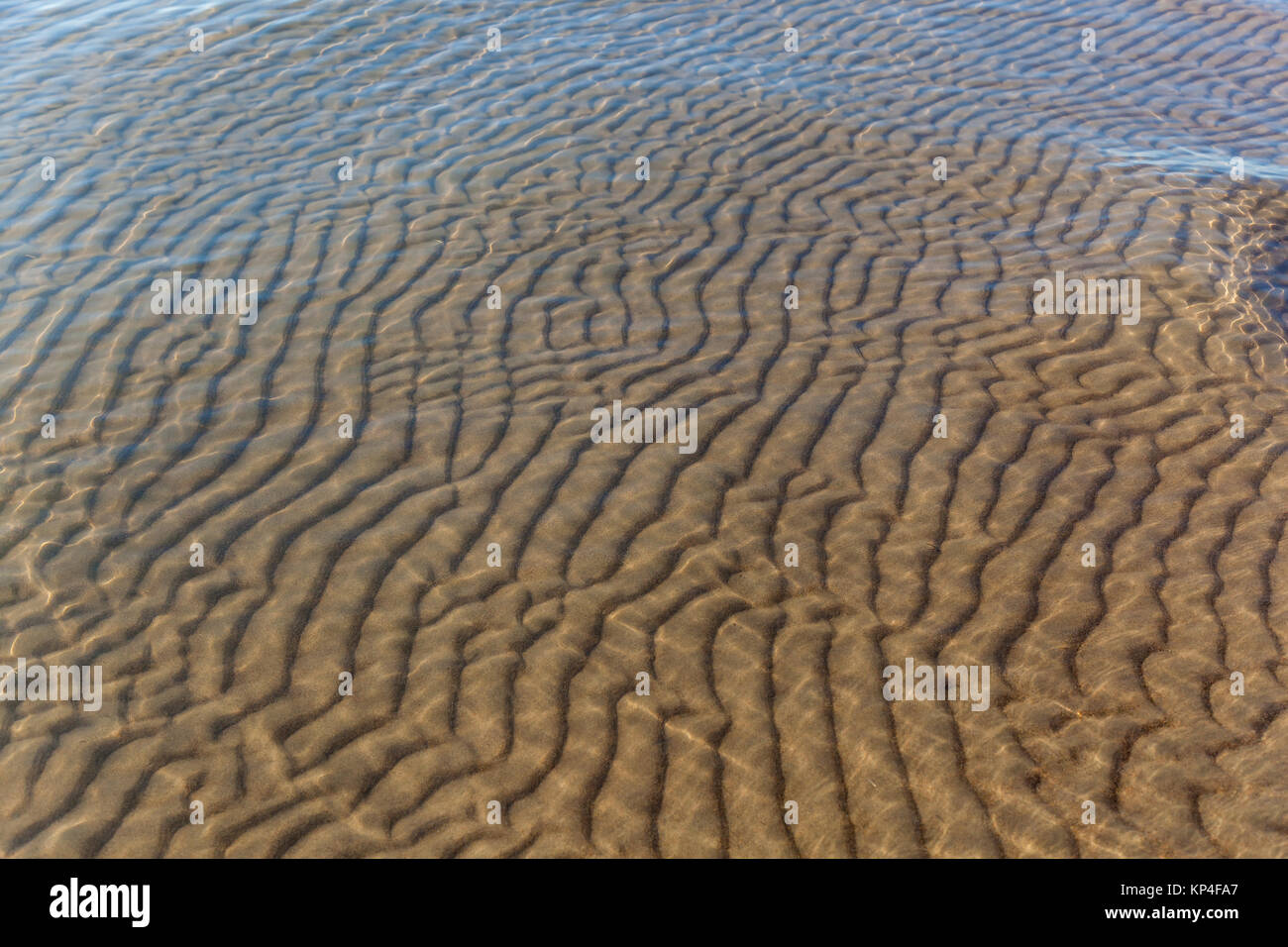 sand under water in nature as background Stock Photo - Alamy