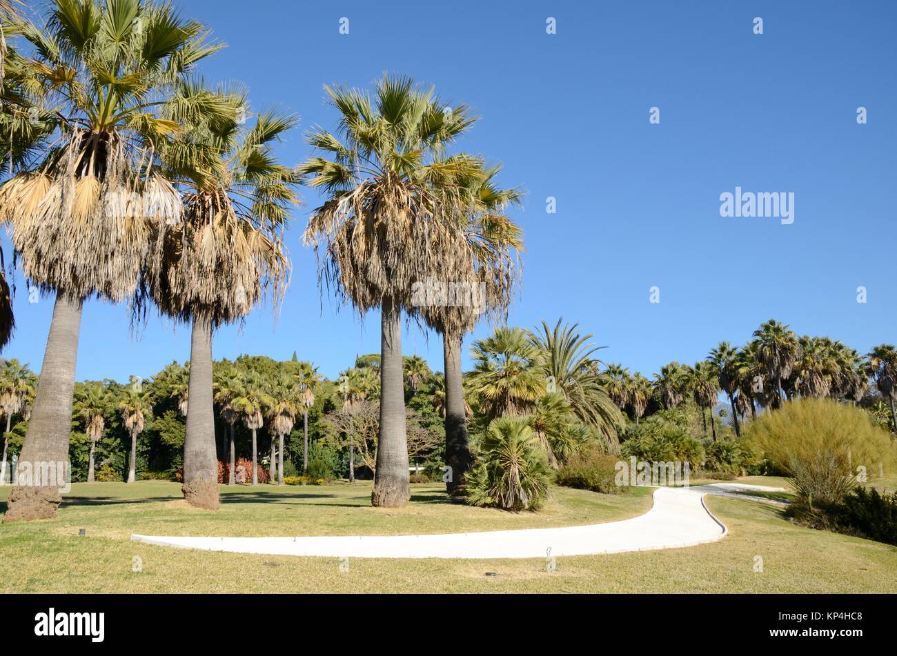 Sword shape path in garden of Marbella, Malaga, Andalusia, Spain Stock ...