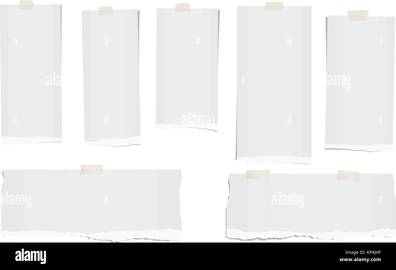 Ripped blank note, notebook paper strips for text or message stuck with ...