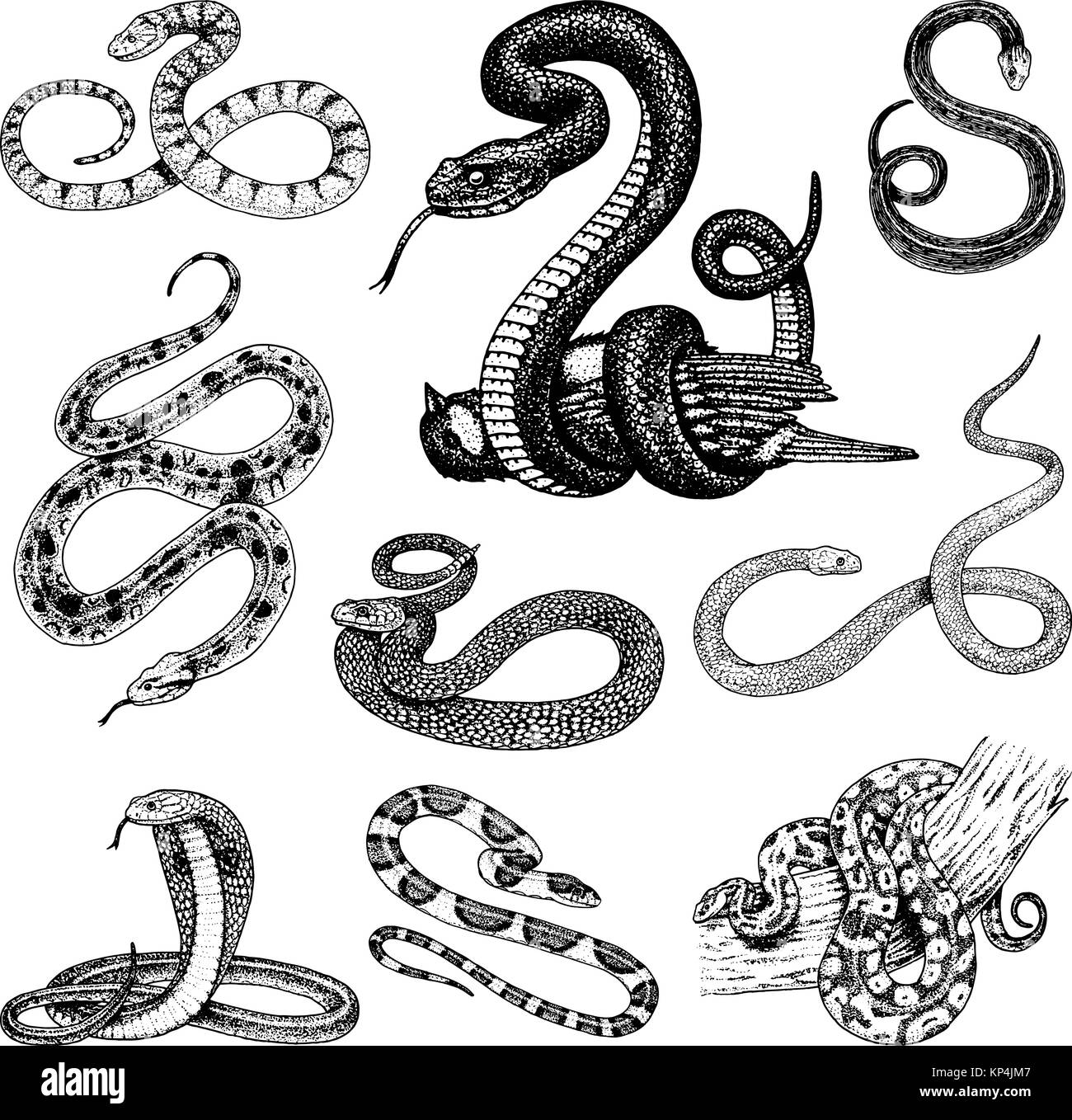 Set Viper Snake. serpent cobra and python, anaconda or viper, royal ...