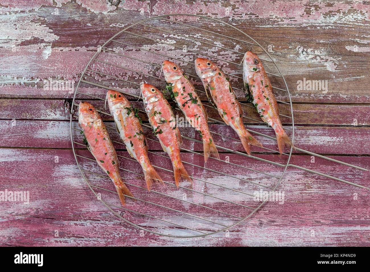 Fat fish hi-res stock photography and images - Alamy