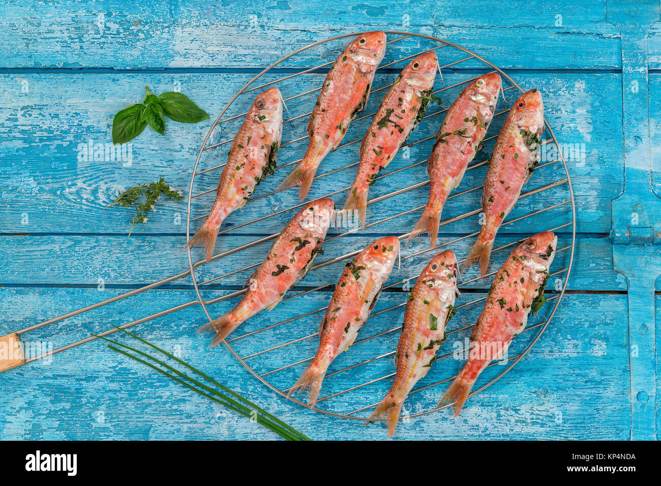 Fat fish hi-res stock photography and images - Alamy