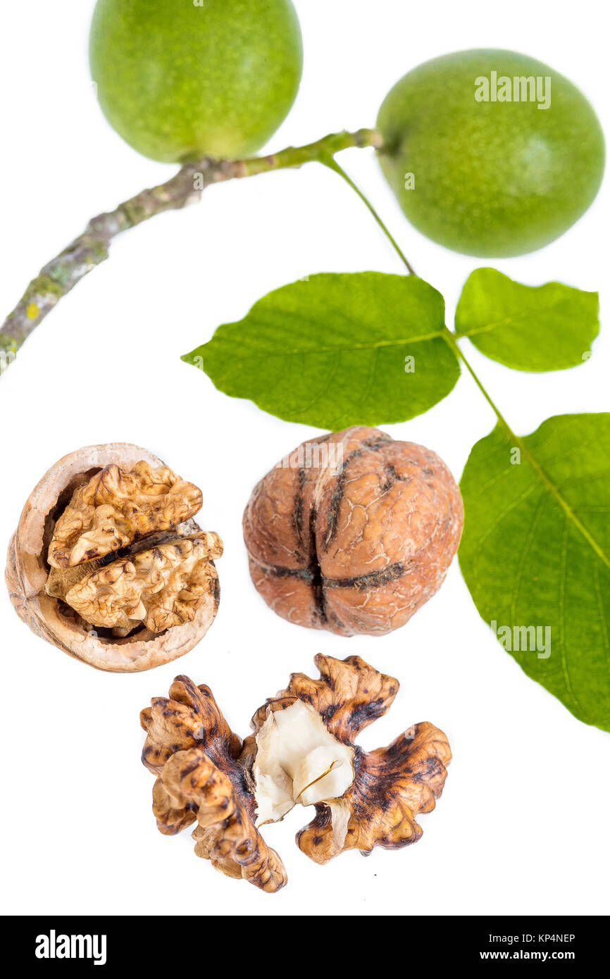 Fruit walnut hi-res stock photography and images - Alamy