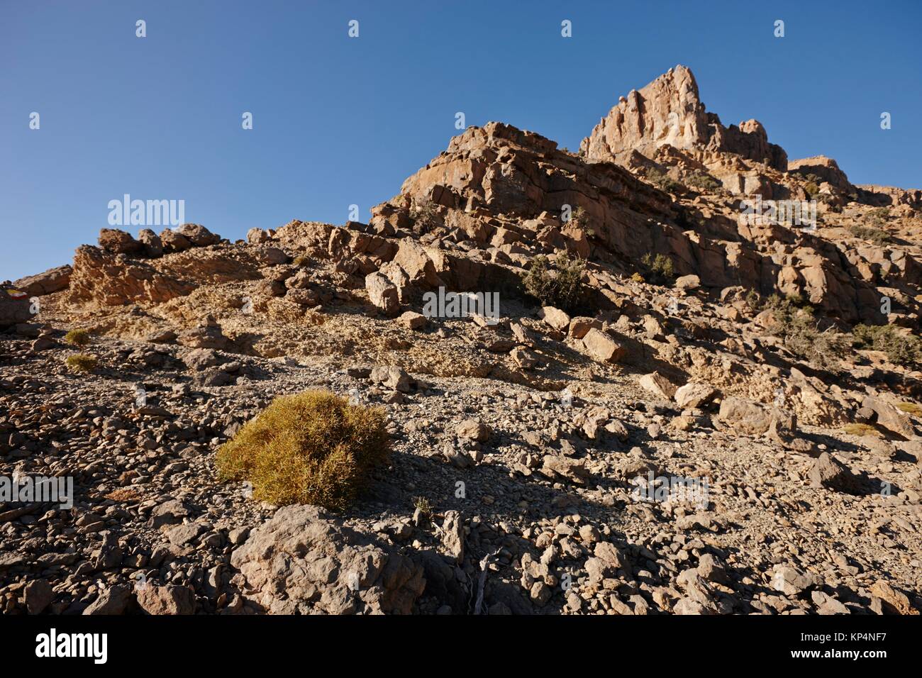 Oman wadi hi-res stock photography and images - Alamy