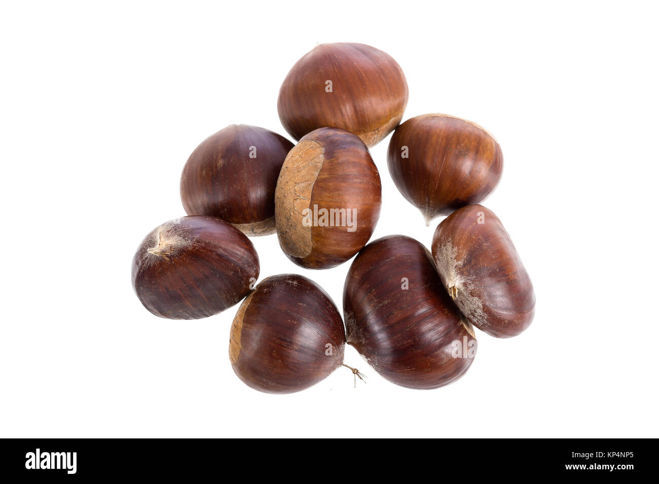 Oil chestnut hi-res stock photography and images - Alamy