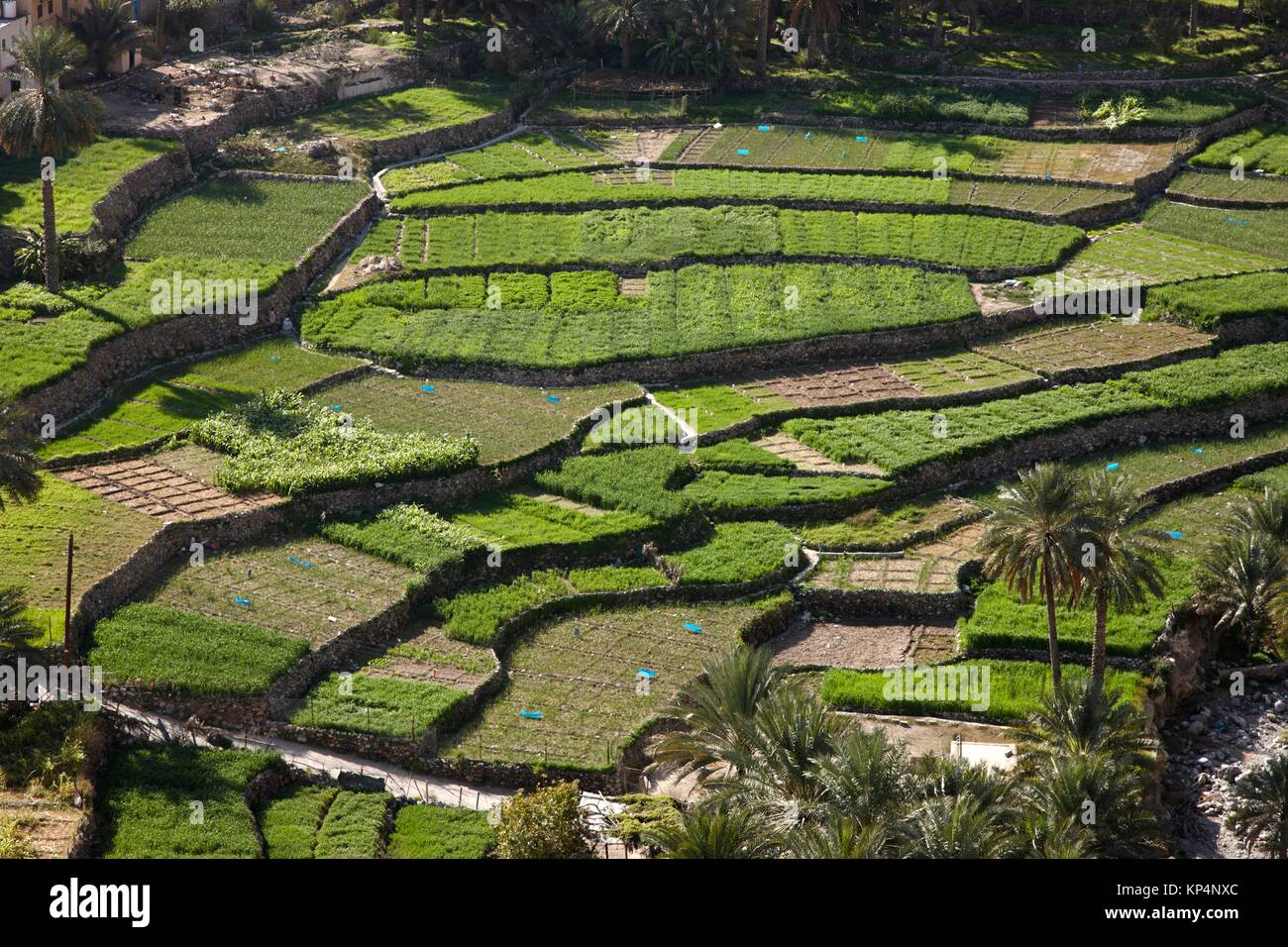 Bilad Sayt Oman High Resolution Stock Photography and Images - Alamy